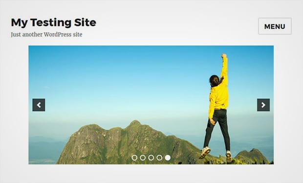 How To Add Image Slider In Wordpress Header The Meta Pictures