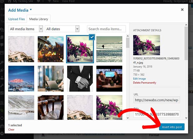 How To Wrap Text Around Images In WordPress