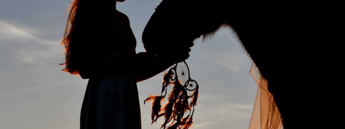 Thumbnails Addon Soliloquy