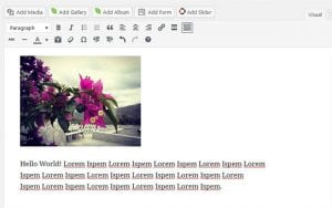 How to Wrap Text Around Images in WordPress