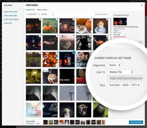 How to create your first slider using Soliloquy Slider